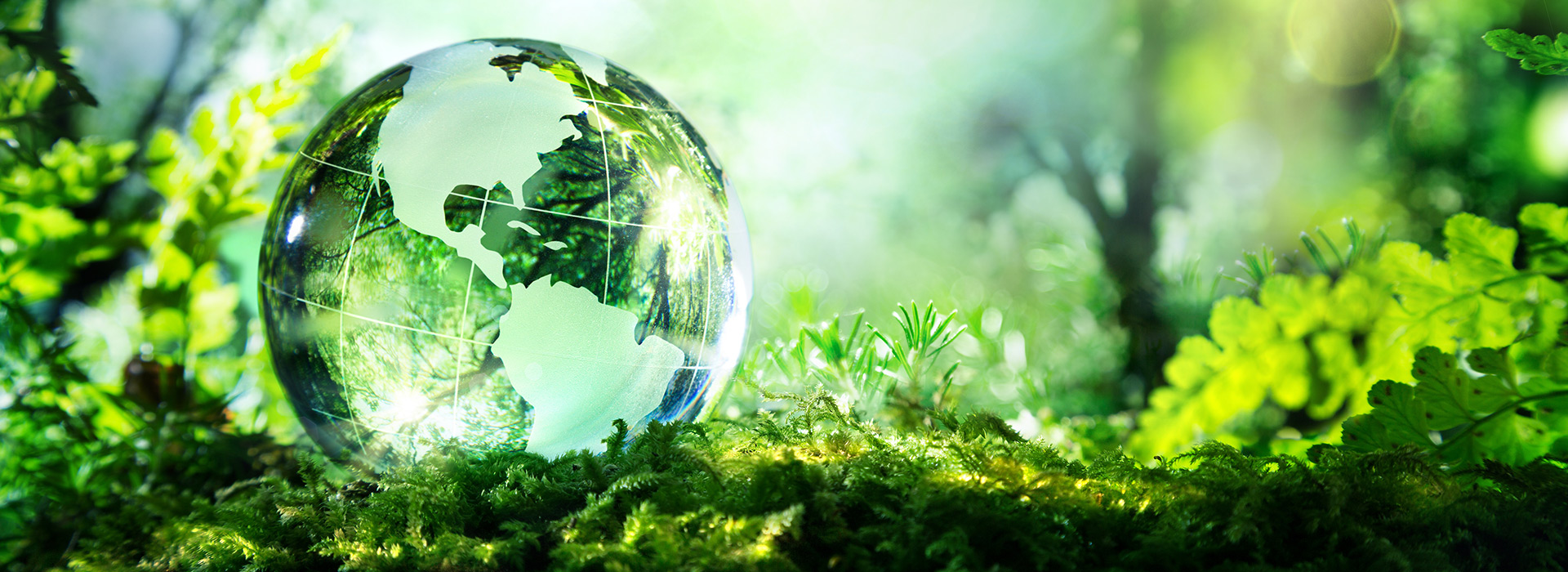 green-globe – Sekisui Foam Australia